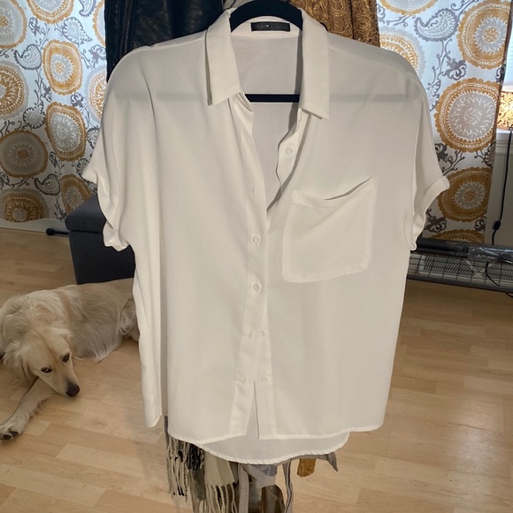 SHEIN | Tops | Shein Sheer White Button Up | Poshmark